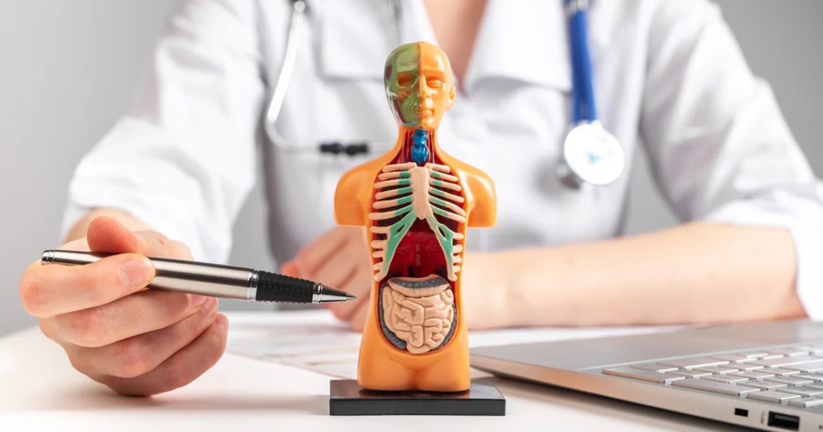 Coloproctología, ¿De qué manera puede ayudarte? - Coloproctologo en Tijuana